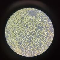China Artificial Diamond Classification Synthetic Diamond Powder for Diamond Segment Making for sale