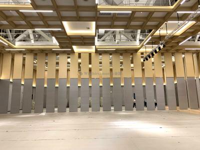 China Aluminum Track With Roller Movable Partition Wall for Banquet Halls Last Panel Closure Telescopic Sleeve Panel for sale