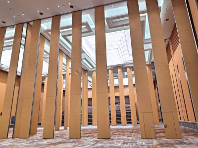 China Modern And Elegant Hotel Partition Wall Fire Resistance Class A Customized Designs Enhancing Interior Ambiance and Safety for sale