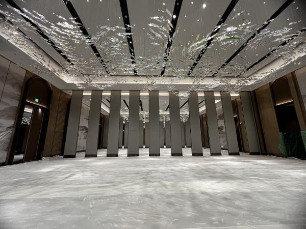 Quality Aluminum Alloy Frame Mobile Folding Wall System Removable Feature Enhancing Space Flexibility in Hotels and Event Venues for sale