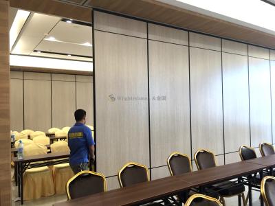 China Fireproof Office Partition Wall Customization Easy To Install Offering Space Division Solutions With Fireproof Features for sale