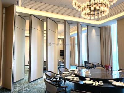 China Suitable For Hotels Hotel Partition Wall Customized Solutions Modern And Elegant Style Perfect For Hospitality Interiors for sale