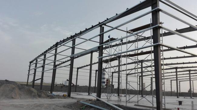 Prefab Q355 custom poultry farm steel structures