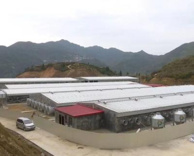 중국 Q355 Q235B 강철 등급의 진료 전공제철 구조물 판매용