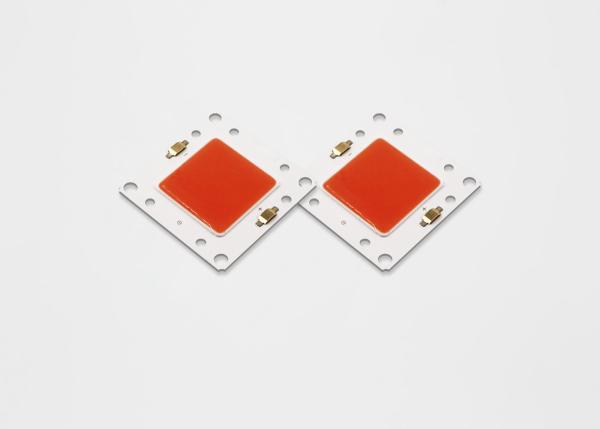 chip di orticoltura di 50W 100W 150W a bordo di rispettoso dell'ambiente principale nessun'edizione di disposizione