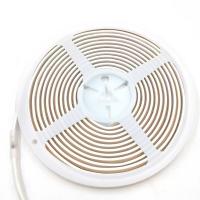 Quality 576D-IP67 Waterproof Dual-Color Temperature LED Strip Light for sale