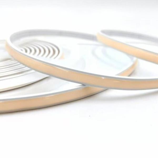 Quality 576D-IP67 Waterproof Dual-Color Temperature LED Strip Light for sale