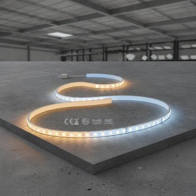 China 320M Led Chip LED COB Strip Light Ce Rohs Emc Certified in 3000K 4000K 6000K Color Temperature Ideal for Commercial Lighting Applications for sale
