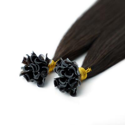 Cina Keratina non trattata Ombre Estensioni di capelli umani Russo Remy U Tip in vendita