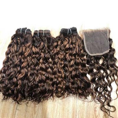 China Cuticle Aligned Burmese Curly Hair Verkopers 12A Grade Super Double Drawn Vietnamese Hair Bundles Pixie Curl Mensenhaar Te koop