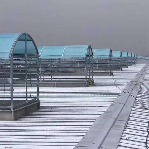 Quality Impact Resistance Daylighting FRP Tile For Shed Greenhouse Roof for sale