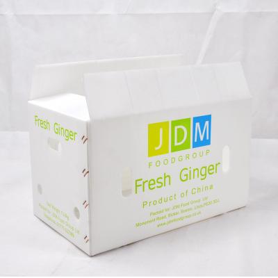 Cina Corruone customize polypropylene box in vendita