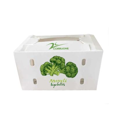 Cina Corruone waterproof recyclable corrugated plastic vegetable and fruit box in vendita
