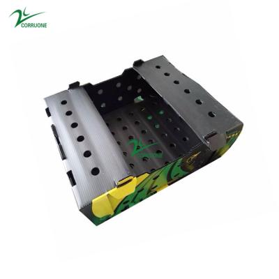 China Corruone waterproof recyclable corrugated plastic vegetable and fruit box Te koop