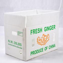 China Corruone waterproof recyclable corrugated plastic vegetable and fruit box Te koop