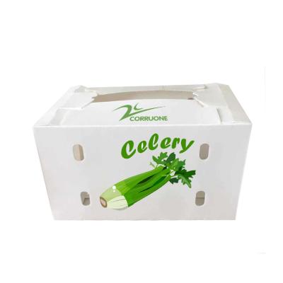 Cina Corruone waterproof recyclable corrugated plastic vegetable and fruit box in vendita
