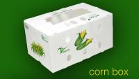 China Corruone Waterproof Recyclable Corrugated Plastic Fruit Vegetable Box 500x270x270mm 13.6kg Capacity for sale