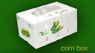China Corruone waterproof recyclable corrugated plastic vegetable and fruit box zu verkaufen