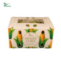 China Corruone Waterproof Recyclable Corrugated Plastic Fruit Vegetable Box 500x270x270mm 13.6kg Capacity for sale