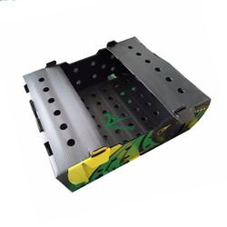 China Corruone waterproof recyclable corrugated plastic vegetable and fruit box zu verkaufen