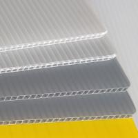 China PP Corrugated Plastic Sheet 4x8 4mm 5mm White Correx Board Custom Size for sale