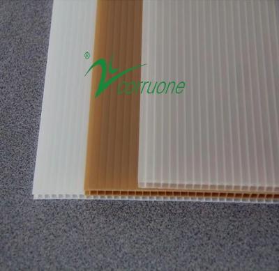 Cina bordo vuoto di plastica ondulato del PE pp degli strati riciclato 4mm di 3mm in vendita