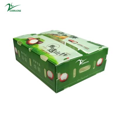 Cina Customized Fruit and Vegetable Packaging Corrugated Plastic Box Corrugated Storage PP Packing Boxes in vendita