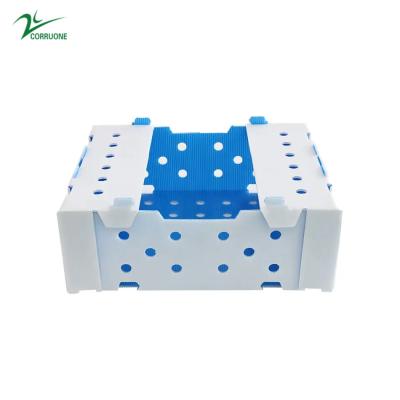 Cina Customized Fruit and Vegetable Packaging Corrugated Plastic Box Corrugated Storage PP Packing Boxes in vendita