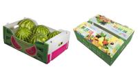 China Customized PP Corrugated Plastic Box 500x270x270mm for Fruit and Vegetable Packaging Storage for sale