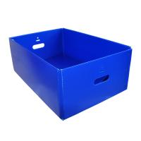 China Reusable 5mm 6mm Corrugated Plastic Boxes PP Twinwall Stackable Recyclable UV Coating for sale
