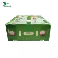 China Customized 10mm Corrugated Plastic Archive Boxes PP Foldable Storage Box for sale