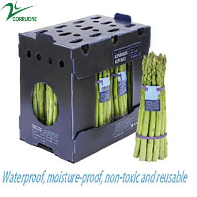 Cina Gli spinaci hanno ondulato i prodotti di plastica inscatolano le scatole di stoccaggio di 2mm Corflute in vendita