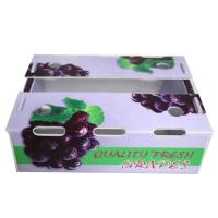 China PP Corrugated Plastic Turnover Box 2mm to 6mm Thickness Custom Size and Color for sale