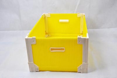 Chine Correx imperméable pp a ridé les boîtes de rangement épaisses de la boîte 12mm Corflute à vendre