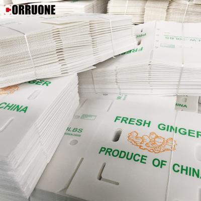 Cina Scatola fresca dell'OEM Corflute Ginger Box Folding Corrugated Plastic in vendita