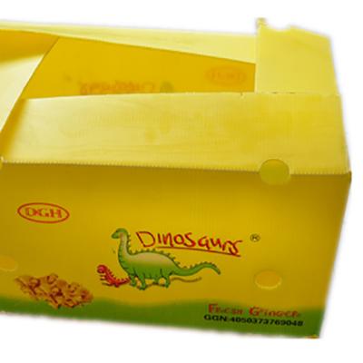 Cina Fruit Vegetable Packing PP Cartonplast Grapes Packing Boxes Plastic Broccoli Boxes Corrugated Ginger Sheet in vendita