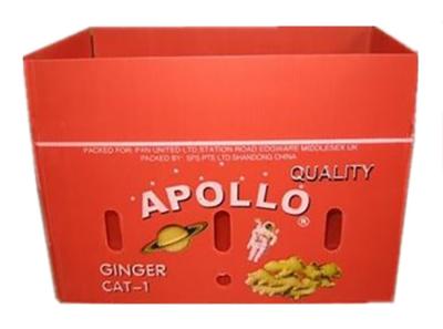 China Fruit Vegetable Packing PP Cartonplast Grapes Packing Boxes Plastic Broccoli Boxes Corrugated Ginger Sheet zu verkaufen