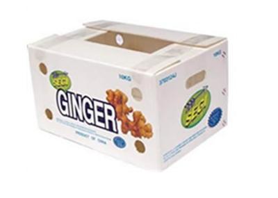 China Fruit Vegetable Packing PP Cartonplast Grapes Packing Boxes Plastic Broccoli Boxes Corrugated Ginger Sheet zu verkaufen