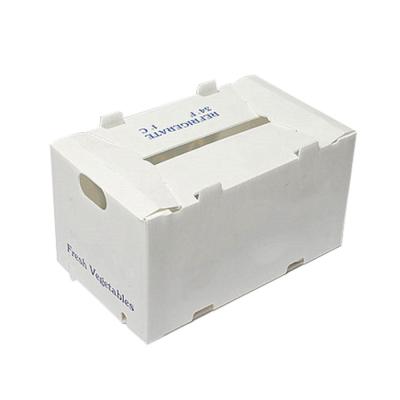 China PP Corrugated Plastic Box for Vegetable and Fruit Box Corn broccoli  and Agriculture Packing box zu verkaufen