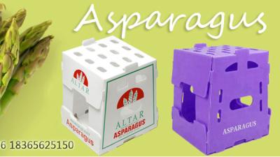 Cina No pollution to fruits and vegetables,Can be recycled thermal insulation packaging box in vendita