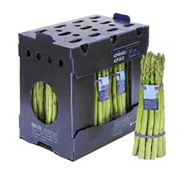 Cina No pollution to fruits and vegetables,Can be recycled thermal insulation packaging box in vendita