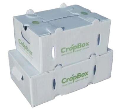 Cina PP Corrugated Plastic Box for Vegetable and Fruit Box in vendita