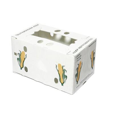 Cina New 2023 PP Corrugated Plastic Box for Vegetable and Fruit Box in vendita