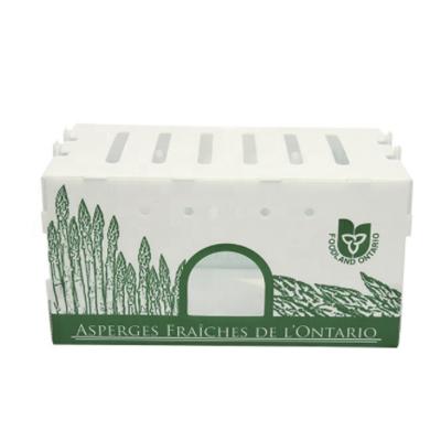 Cina PP Corrugated Plastic Box for Vegetable and Fruit Box Corn broccoli  and Agriculture Packing box in vendita