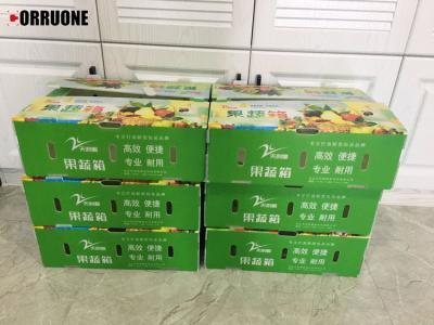 Cina PP Corrugated Plastic Box for Vegetable and Fruit Box Corn broccoli  and Agriculture Packing box in vendita