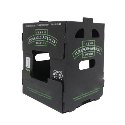 Cina Can be recycled thermal insulation packaging box,No pollution to fruits and vegetables in vendita