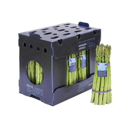 Cina Can be recycled thermal insulation packaging box,No pollution to fruits and vegetables in vendita