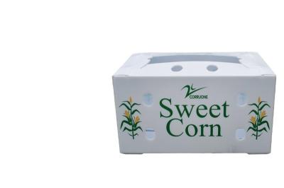 Cina Matt Lamination Reusable Corrugated Plastic inscatola per la farina dell'uovo in vendita