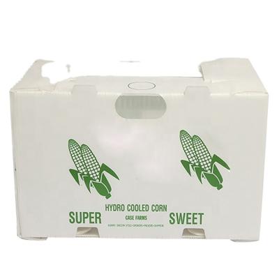 Cina Matt Lamination Reusable Corrugated Plastic inscatola per la farina dell'uovo in vendita