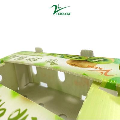 China New 2023 PP Corrugated plastic box Vegetable box cauliflower box en venta